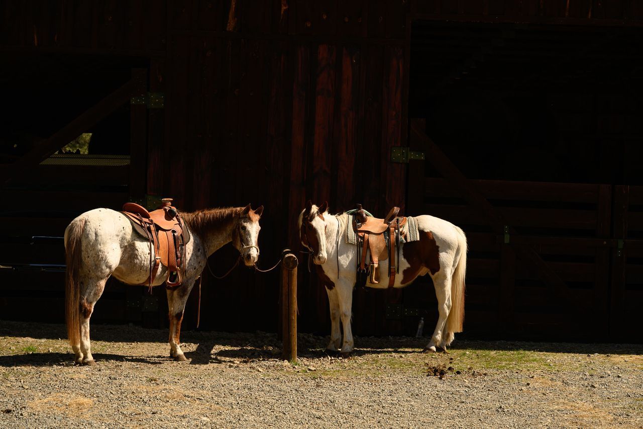 Retreats | Alpine Falls Ranch